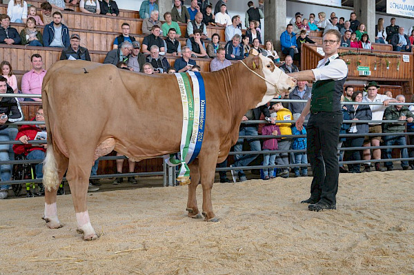 Aktuell | RiVerGen | Rinder Vermarktung Genetik