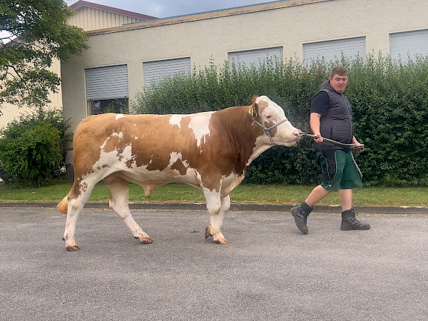 Aktuell | RiVerGen | Rinder Vermarktung Genetik