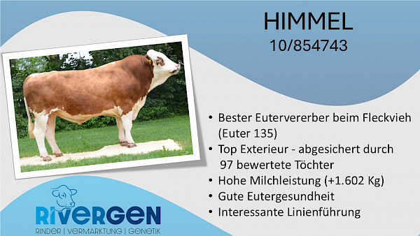 Aktuell | RiVerGen | Rinder Vermarktung Genetik